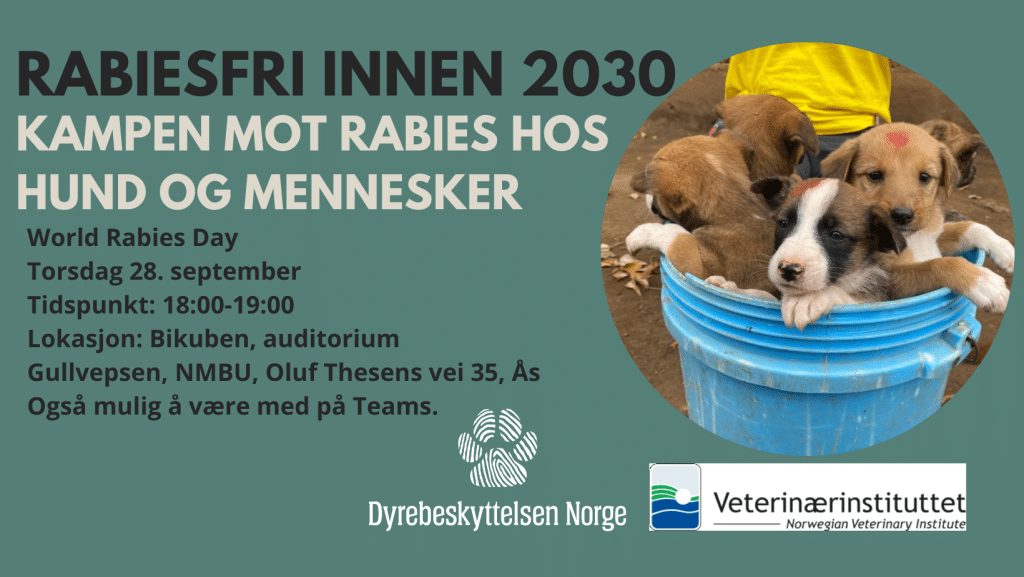 VELKOMMEN TIL RABIES FOREDRAG/ WEBINAR - Dyrebeskyttelsen Norge